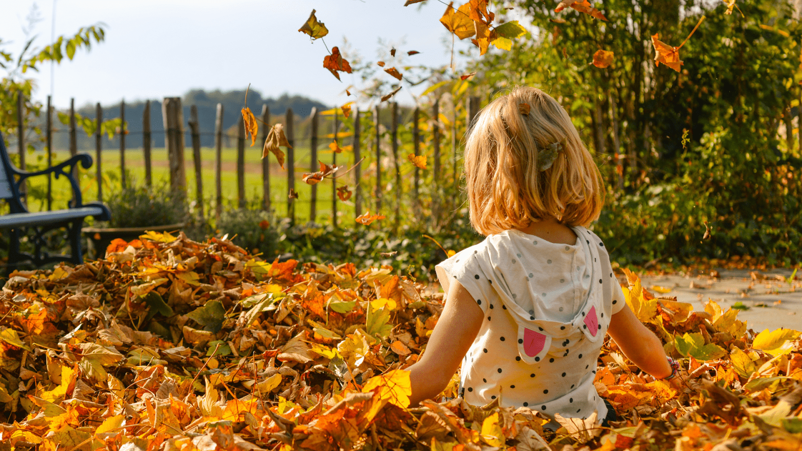 Photography Lessons for Kids: Fall Photos! | Blog | Sharp Shots Photo Club